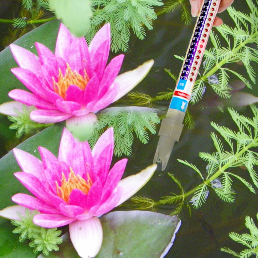 ECS-23852 0.4 - 4.4EC EC/ppm/CF Nutra-wand / Hydroponic Meter Stick ...